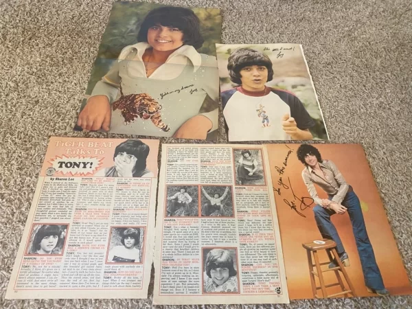 Tony Defranco teen magazine pinup clippings lot Tiger Beat Teen Beat ...